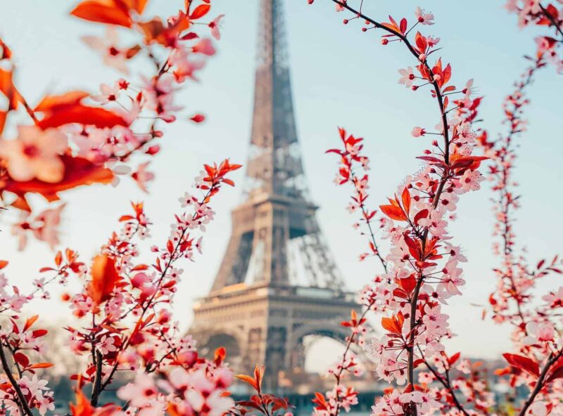 5 Iconic Flower Shops in Paris • Petite in Paris